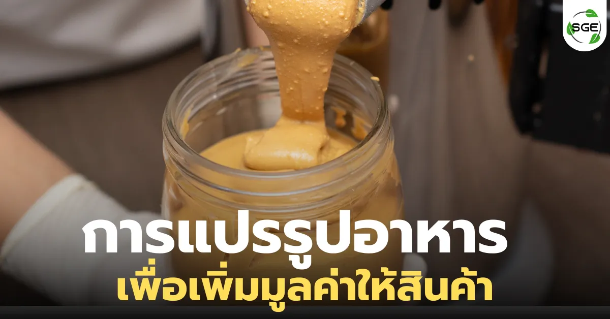 วิธีทำ ชิโอะปัง ขนมปังเกลือ สไตล์ญี่ปุ่น หอมนุ่ม เค็มละมุน ทำเองได้ที่บ้าน